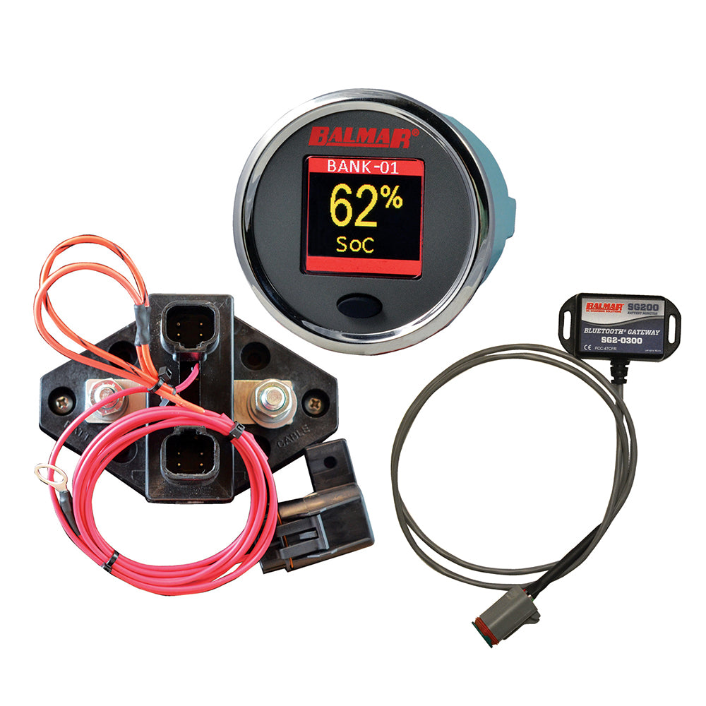 Balmar SG210 Battery Monitor Kit wDisplay Shunt Gateway SG210 – Delta ...